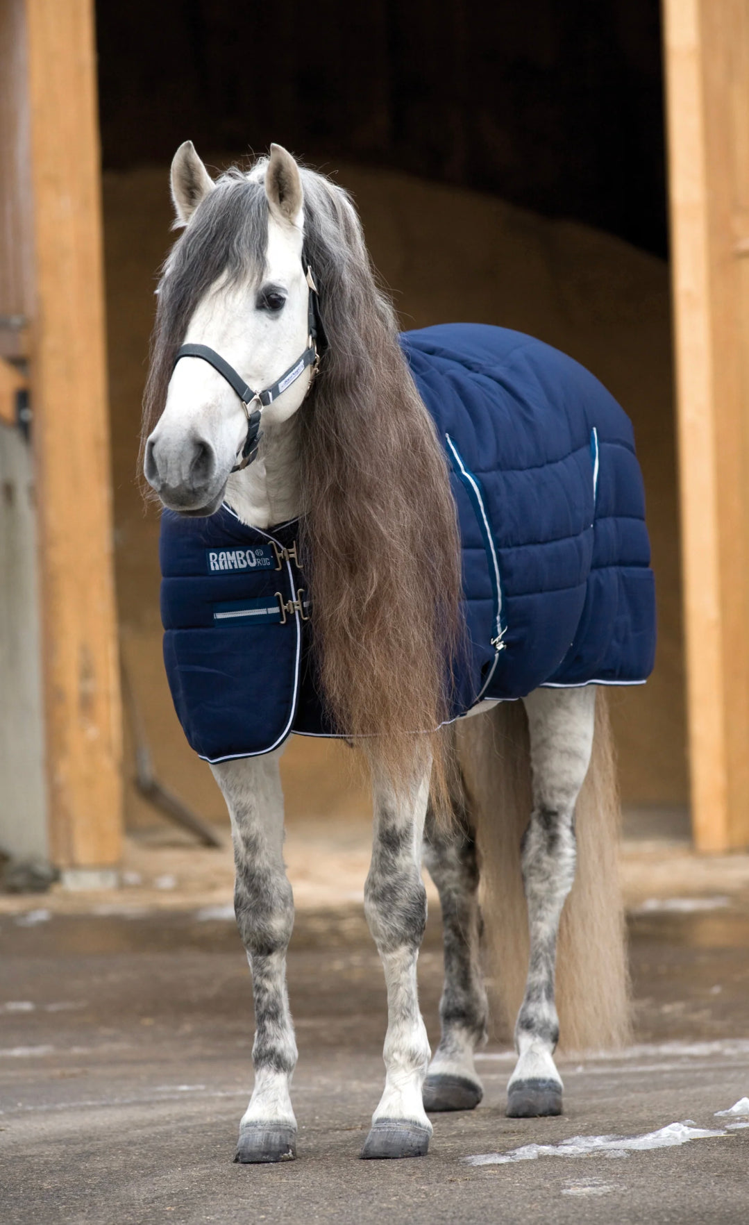 Fine Used Rambo Stable Rug (72”/200g) | Horse & Hound Tack Shop