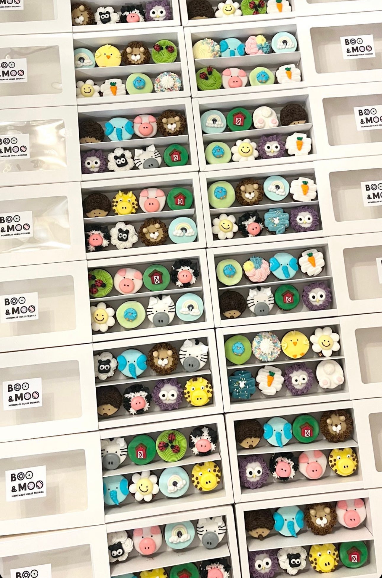 Boo&Moo Horse Cookies