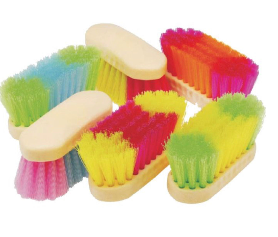 Neon Stiff Bristle Dandy Brush | Horse & Hound Tack Shop