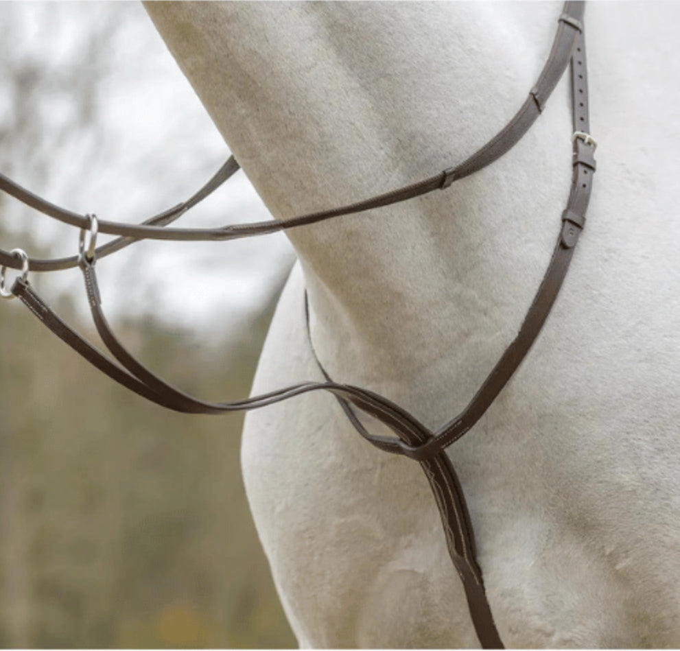 Shires Avignon Running Martingale | Horse & Hound Tack Shop