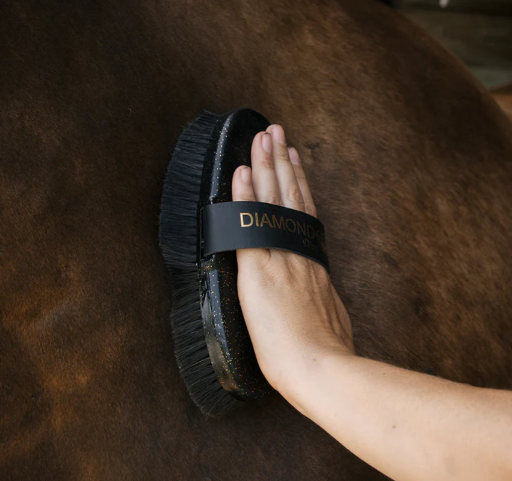 Haas Diamond Diva Brush | Horse & Hound Tack Shop
