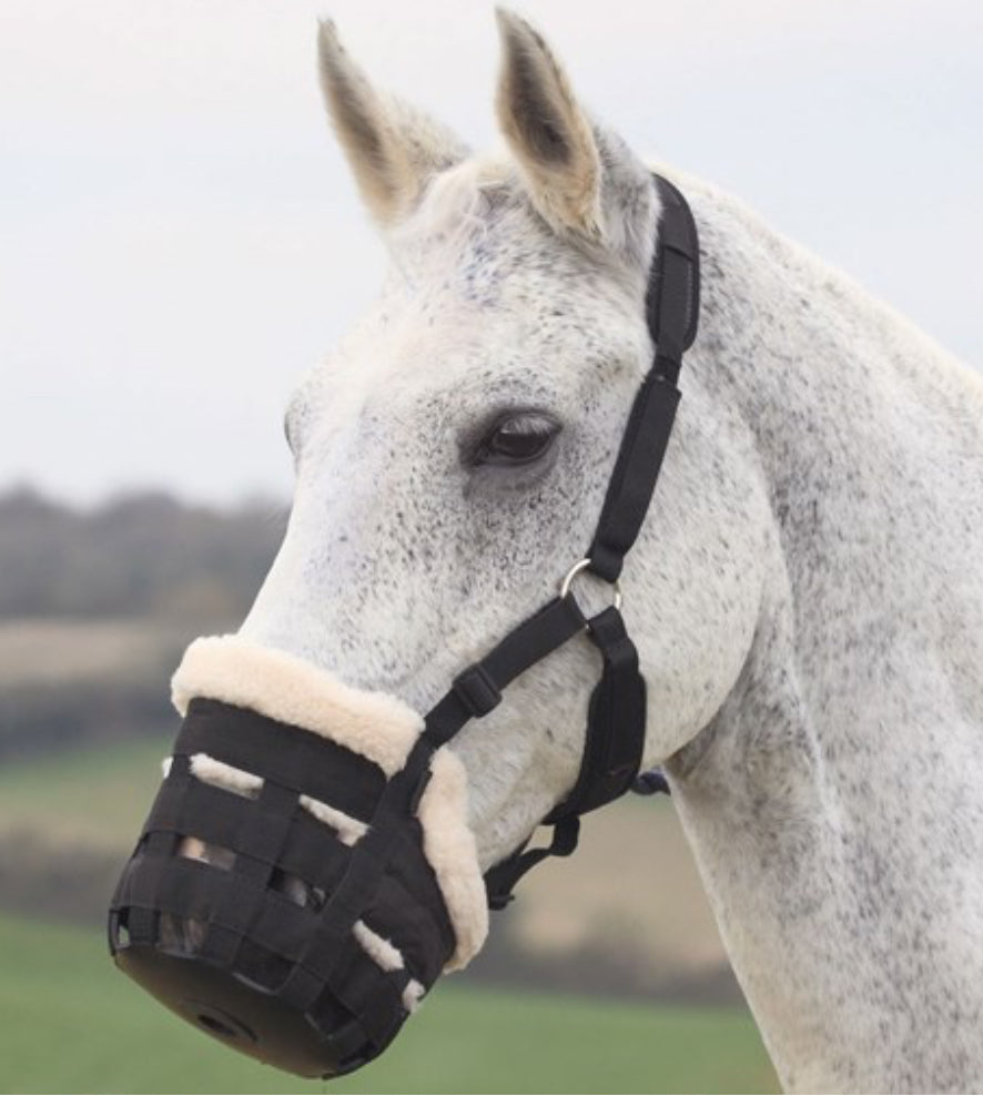Shires Deluxe Comfort Grazing Muzzle | Horse & Hound Tack Shop
