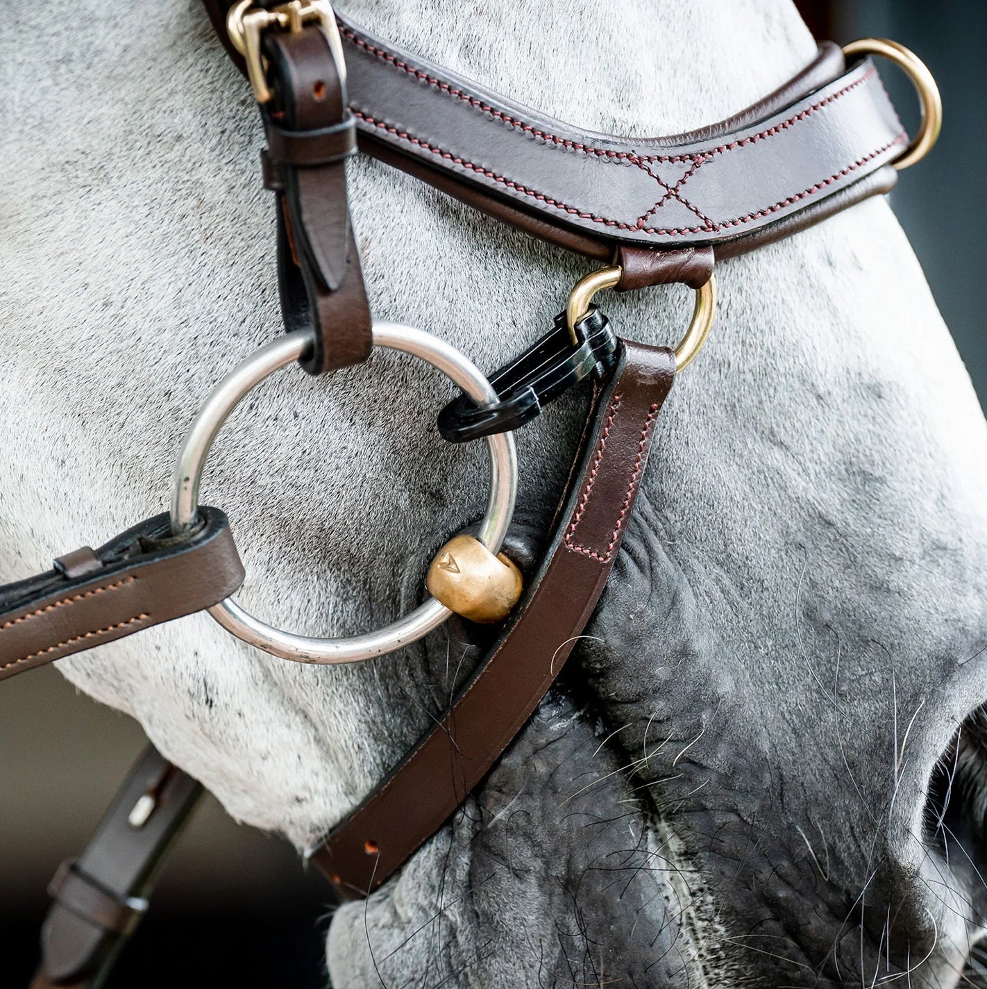 Rambo Micklem 2 Multi Bridle | Horse & Hound Tack Shop